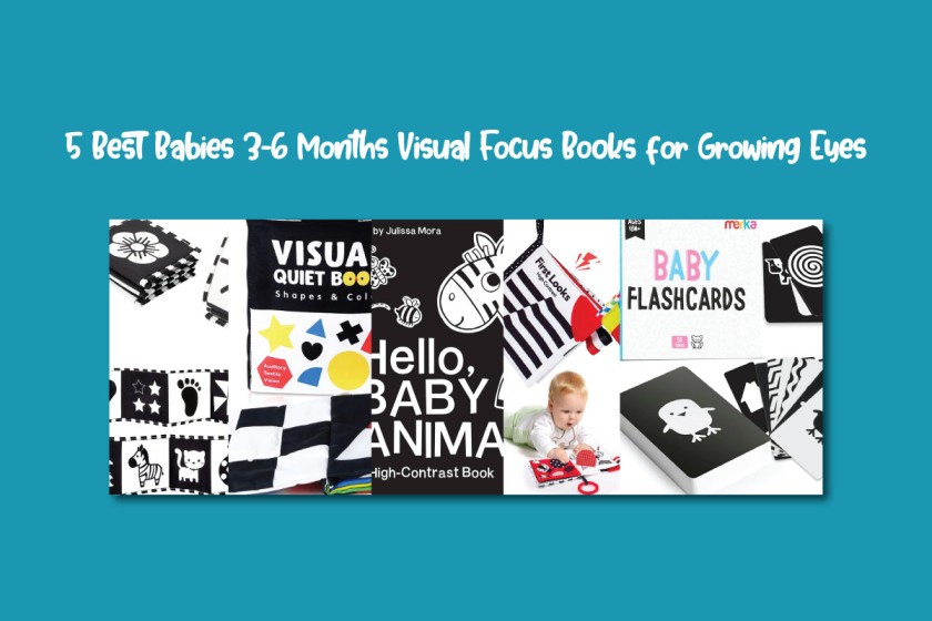 Best Babies 3–6 Months Visual Focus Books